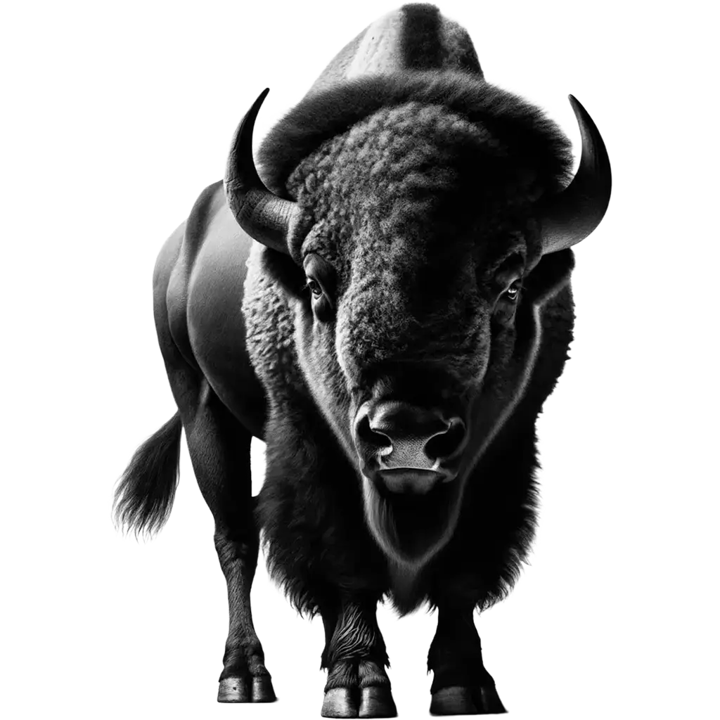 AnimalHub: American Bison, Bison Bison - Facts, diet, habitat & more