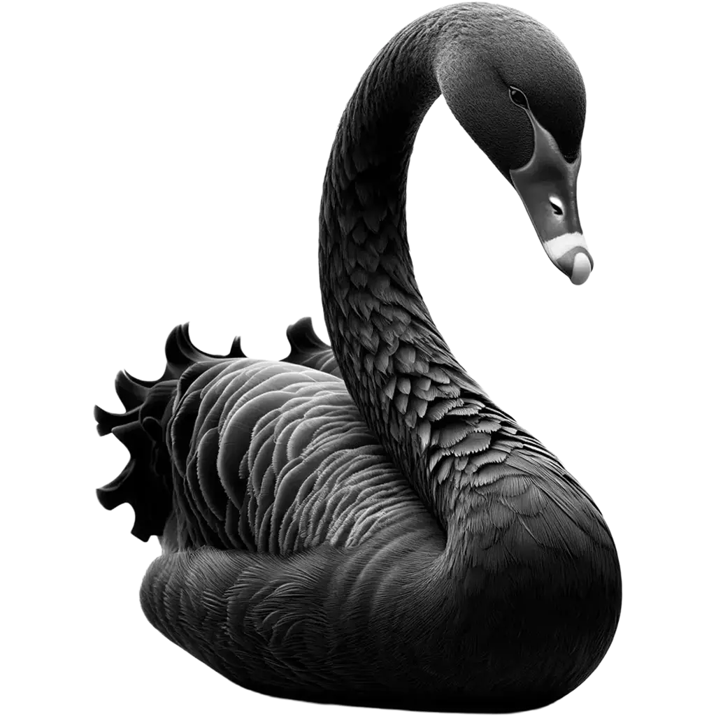 AnimalHub: Black Swan, Cygnus Atratus - Facts, diet, habitat & more
